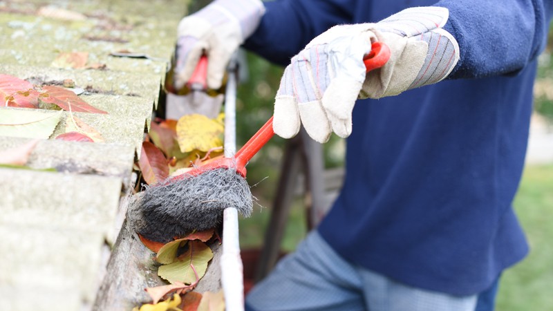 Stay safe while working in the yard